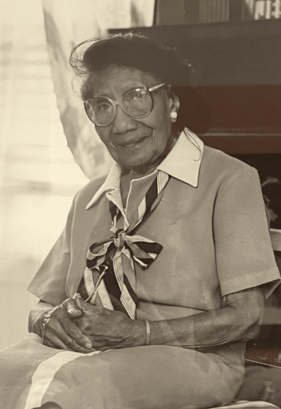 Josie W. Lewis - Women of Black Wall Streeet